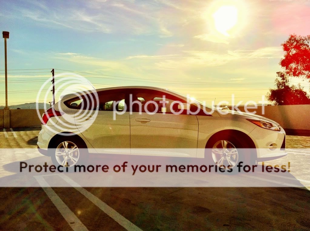 A few new pictures | Focus Fanatics Forum