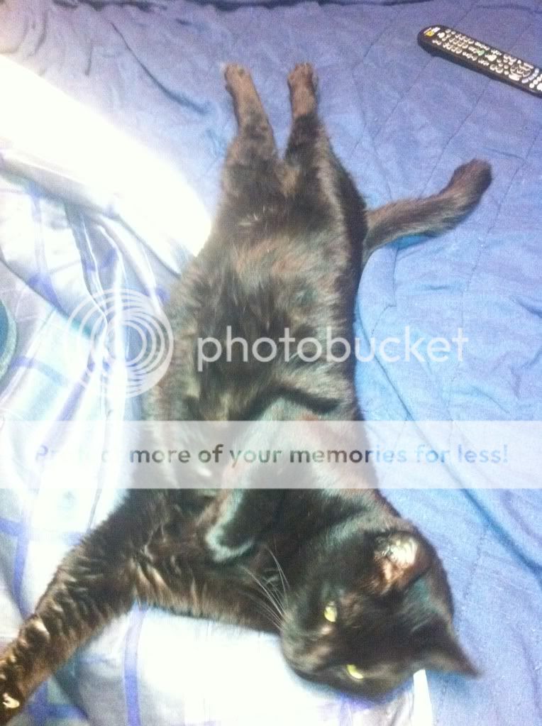 For post 1300... > General Discussion > AR15.COM